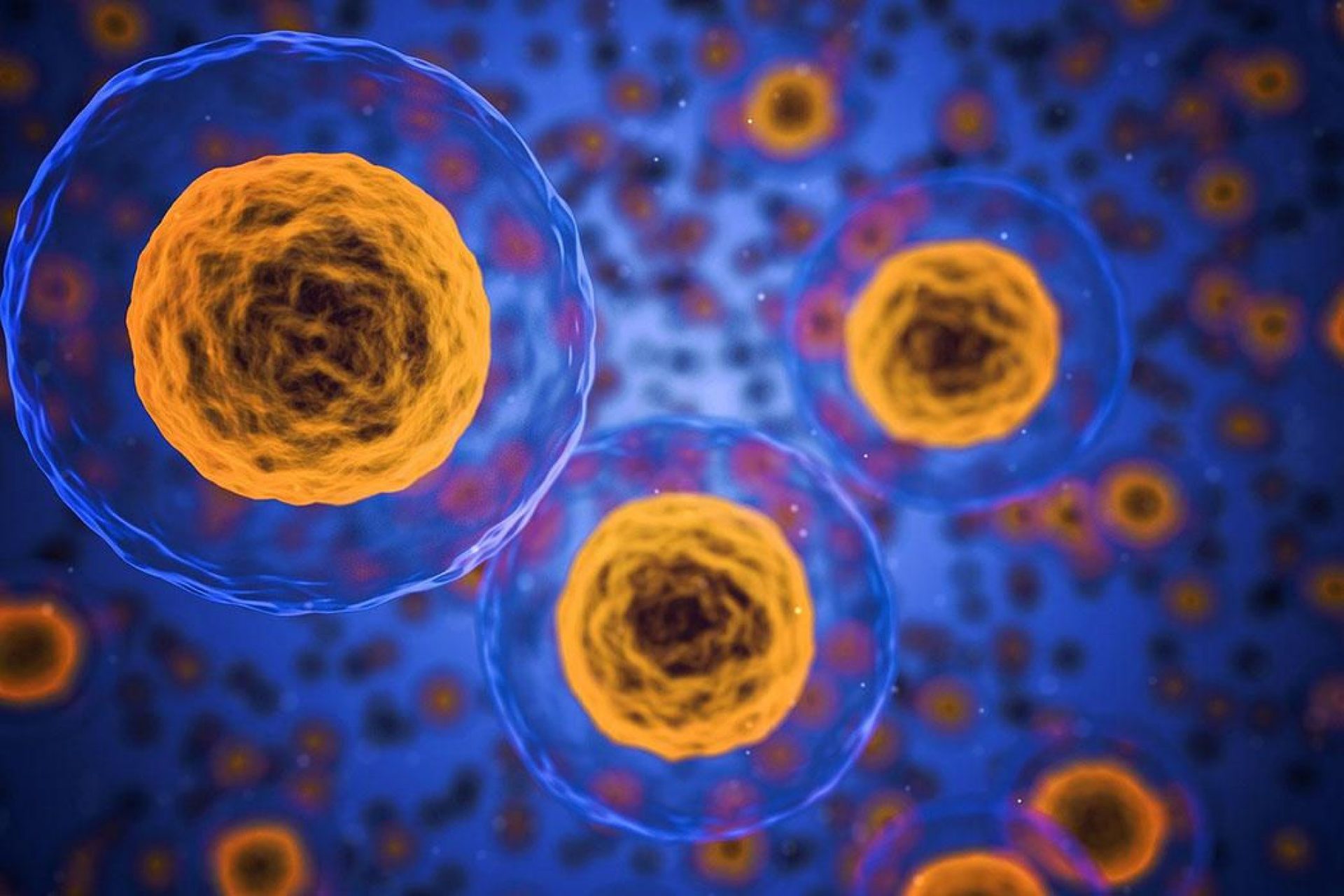 Visualizing Molecular Details