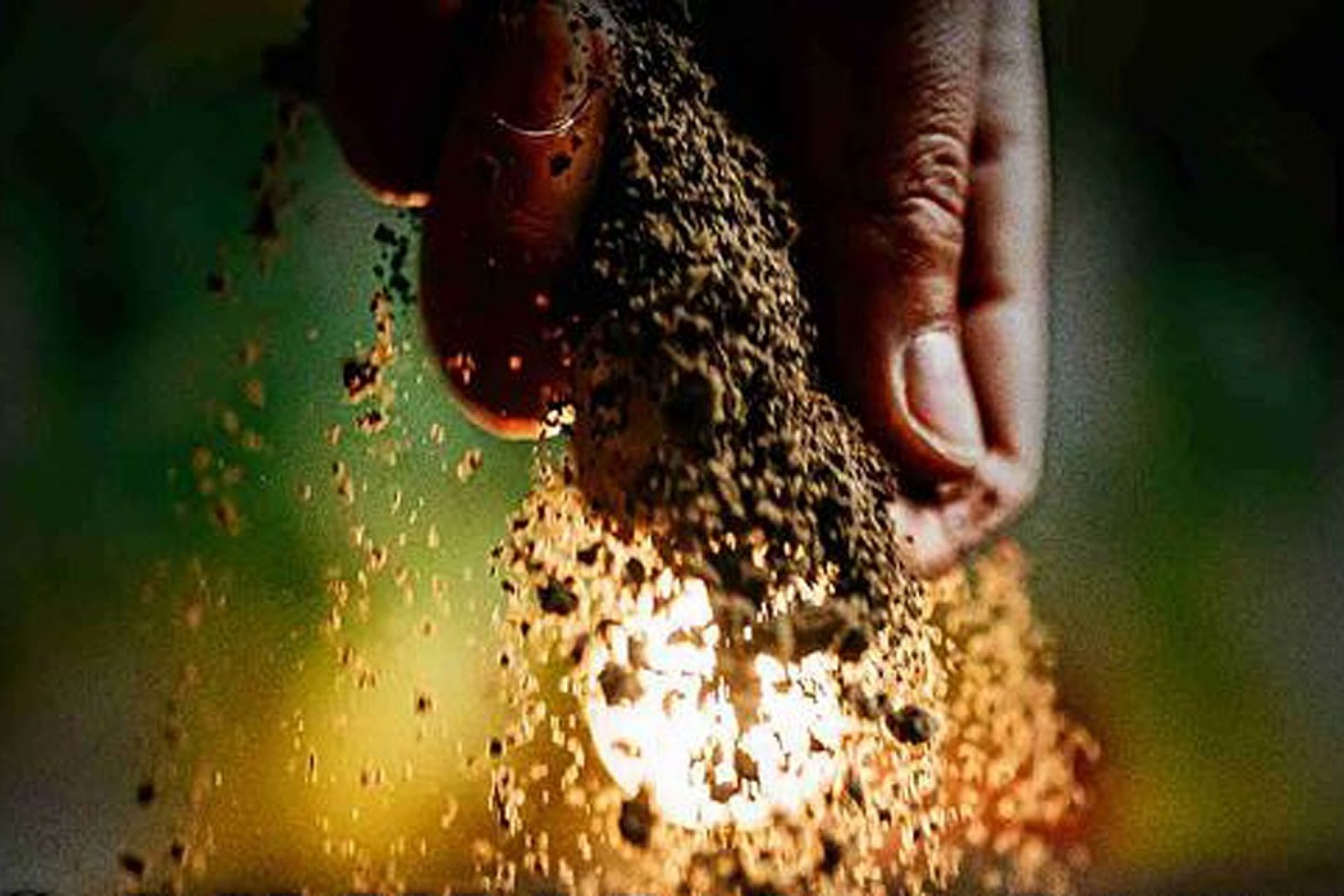 'Gaining Ground' film on the fight for Black land features BC Law professor