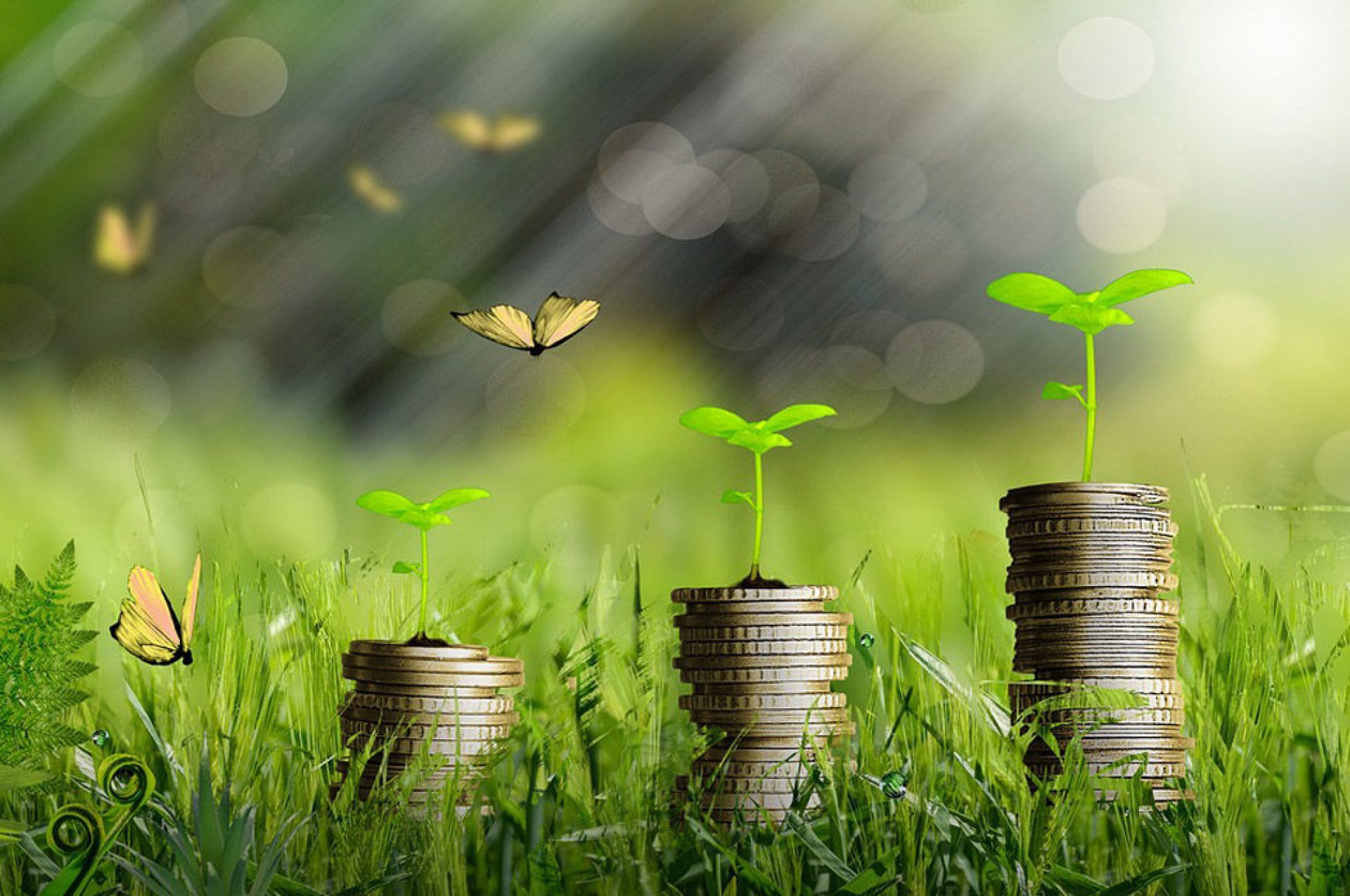 BC Economics faculty assess causes, effects of inequality